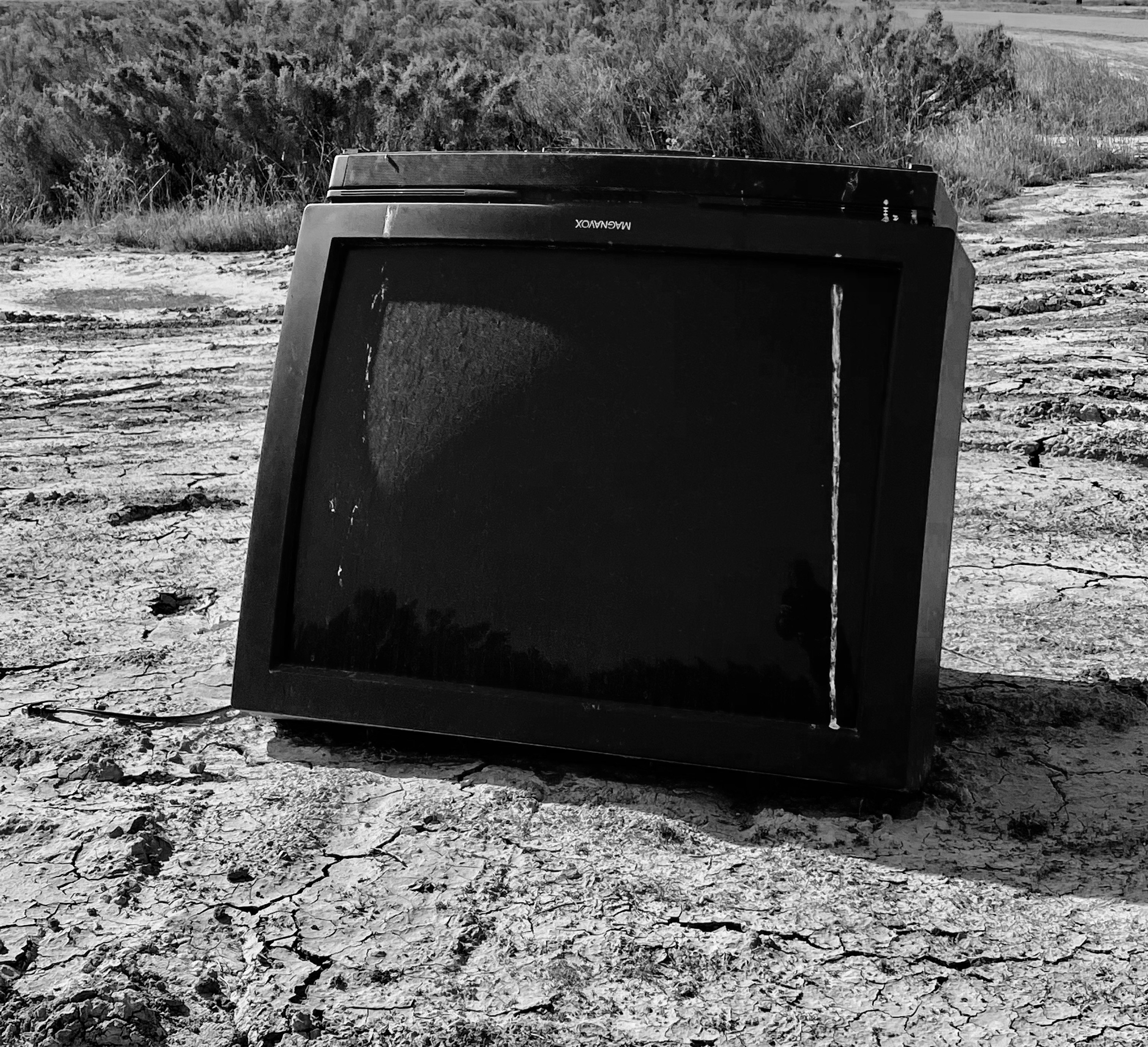 On Mass Political Inattention CounterPunch
