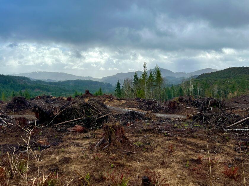 The Biggest Threat to Our National Forests? The US Forest Service ...