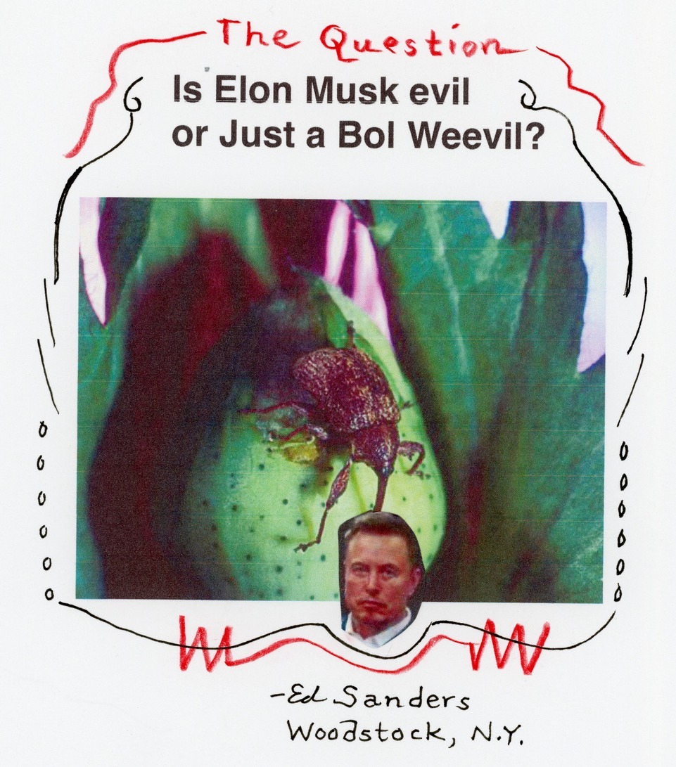 Is Elon Musk Evil? A Glyph - CounterPunch.org