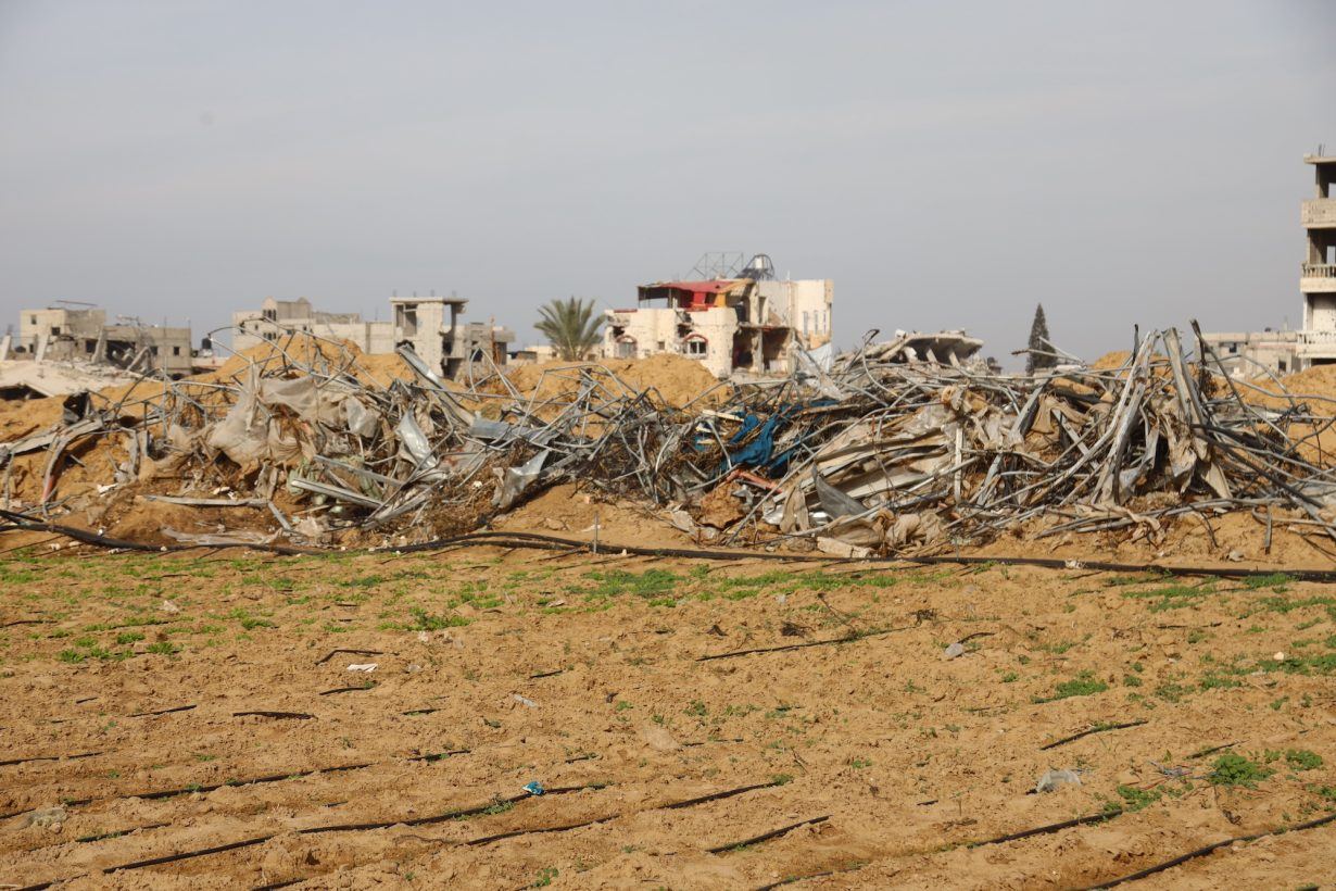 Israel’s Barbaric Ecocide in Lebanon and Gaza - CounterPunch.org