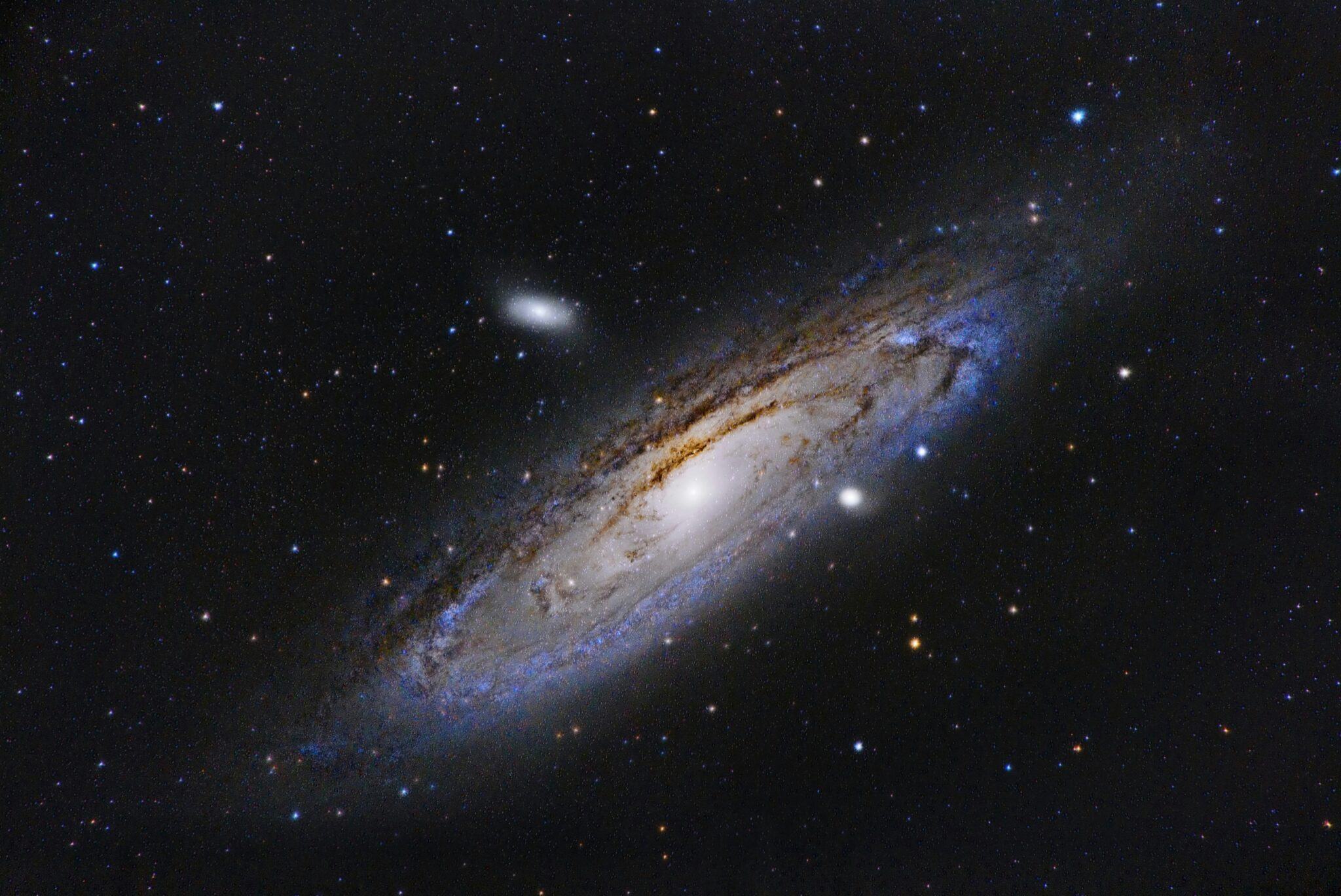 Animals in the Universe - CounterPunch.org