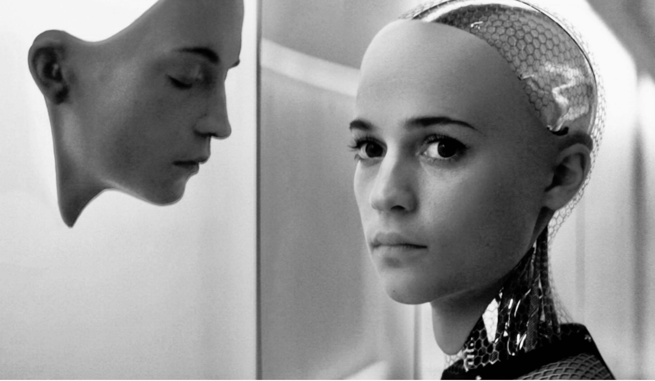 The AI Bubble Monitor: The Lay of the Land - CounterPunch.org