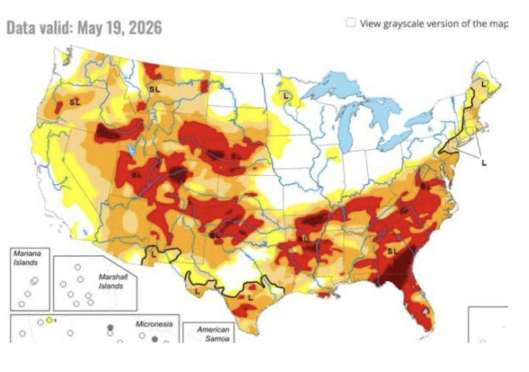 Heatwaves and Wildfires - CounterPunch.org