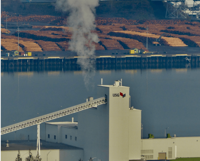 Why Big Carbon Offsets Often Fail - CounterPunch.org