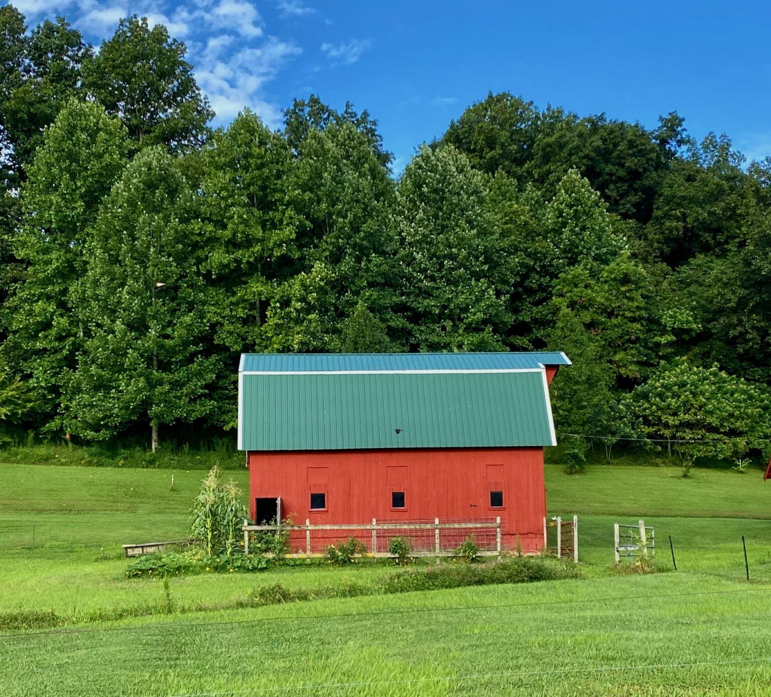 Pesticides and Agriculture: How Organic and Conventional Farms Differ ...