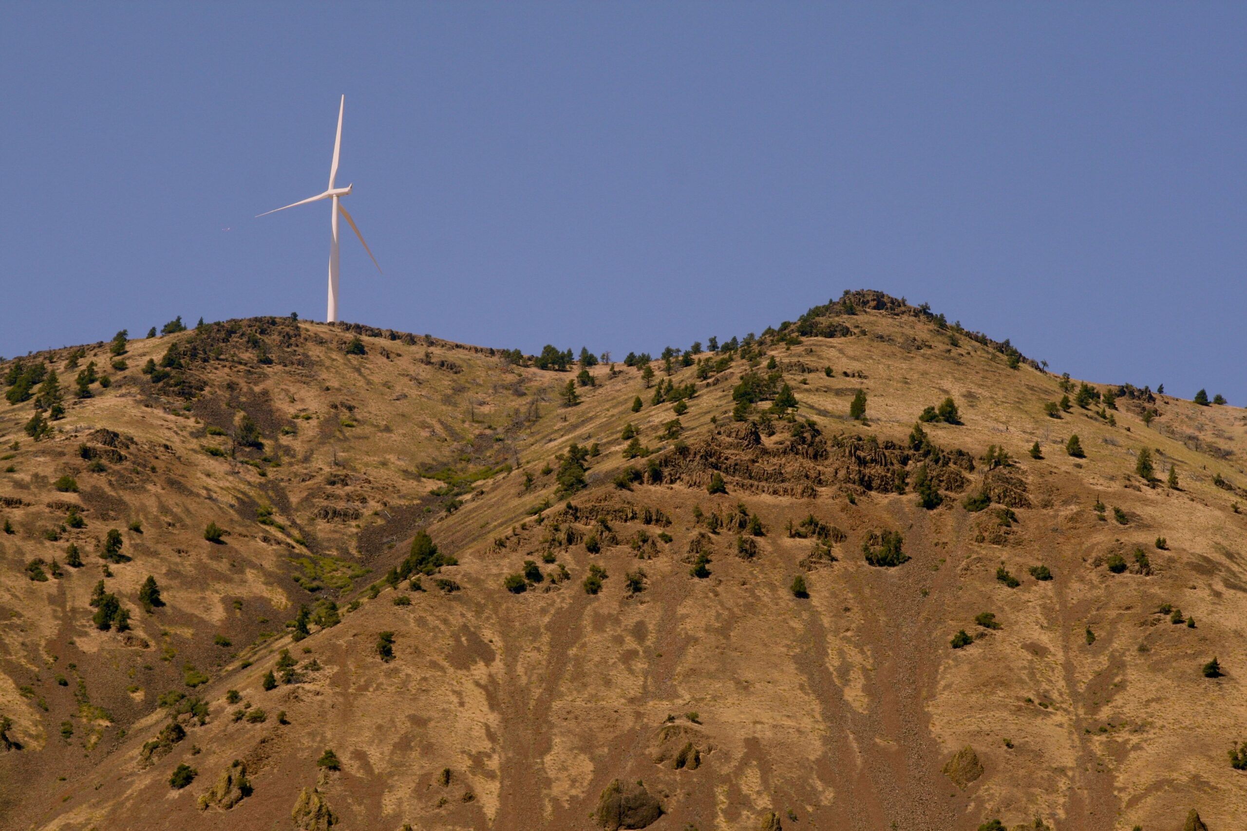 Today’s New energy: Clean, Cheap, Safe, and Local - CounterPunch.org